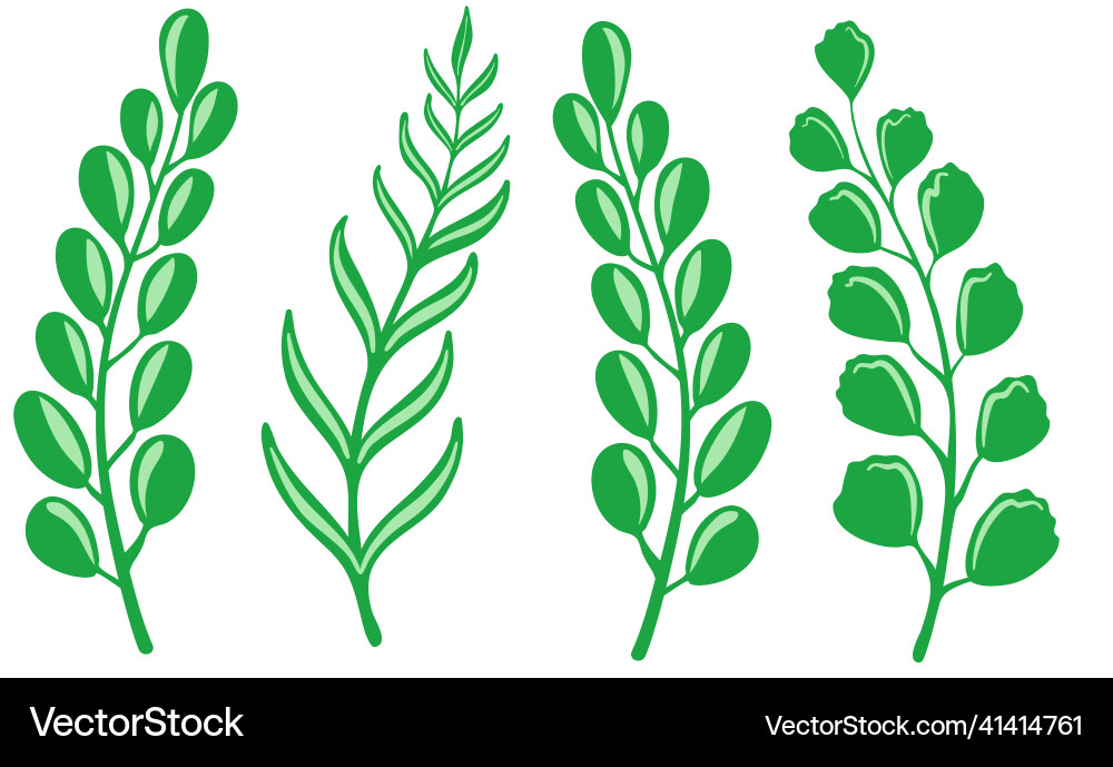 Simple spring hand drawn flowers set with leafs Vector Image