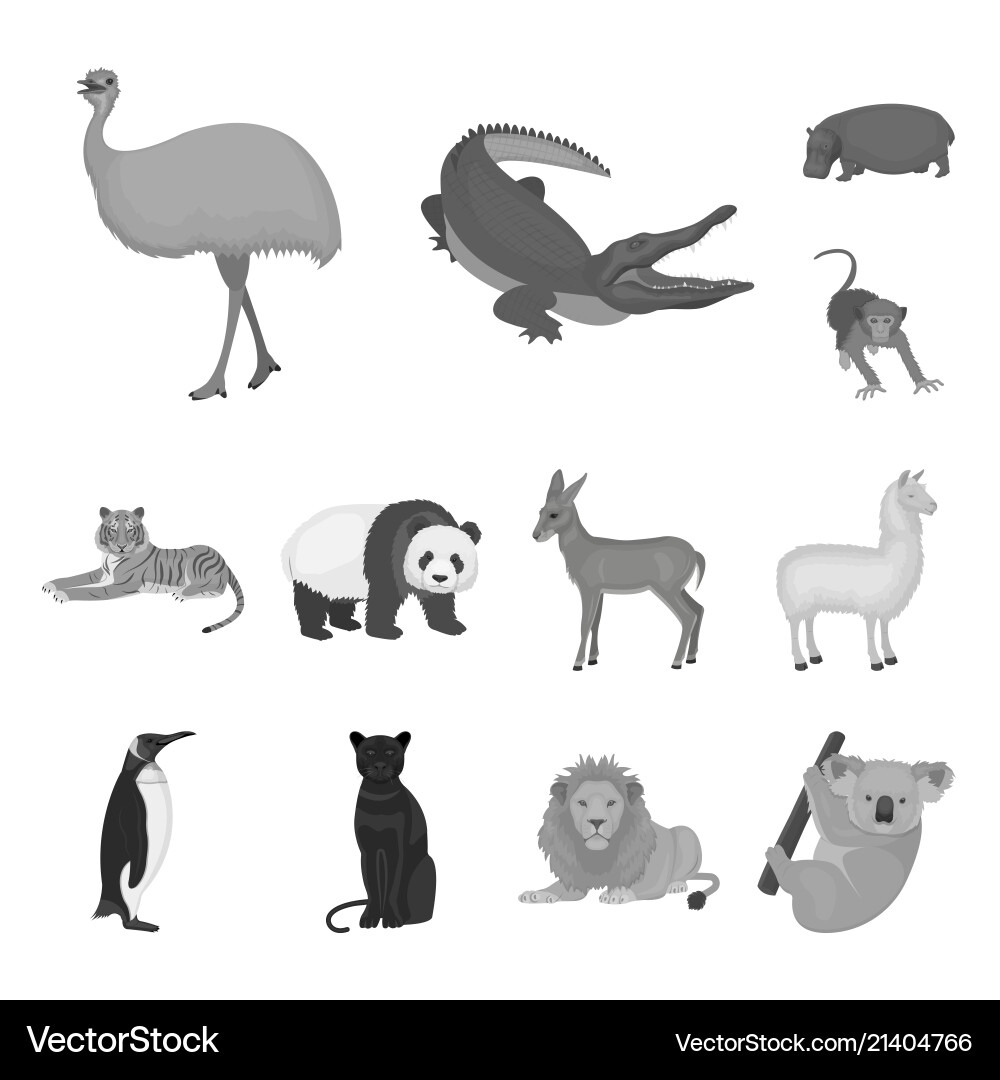 Different animals monochrome icons in set Vector Image