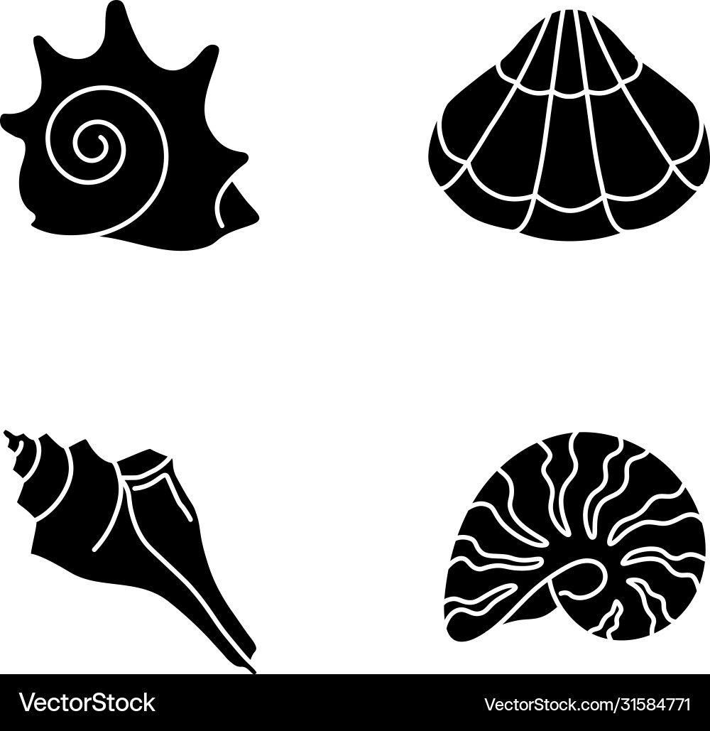 Various seashells black glyph icons set on white Vector Image
