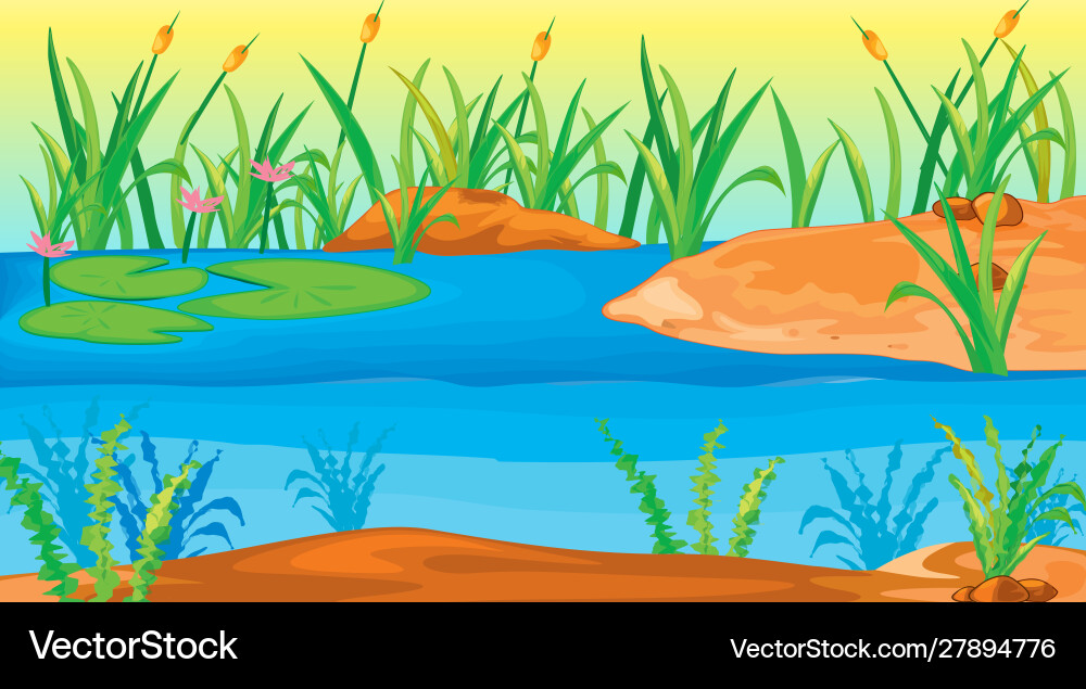 Background scene with water lily in pond Vector Image