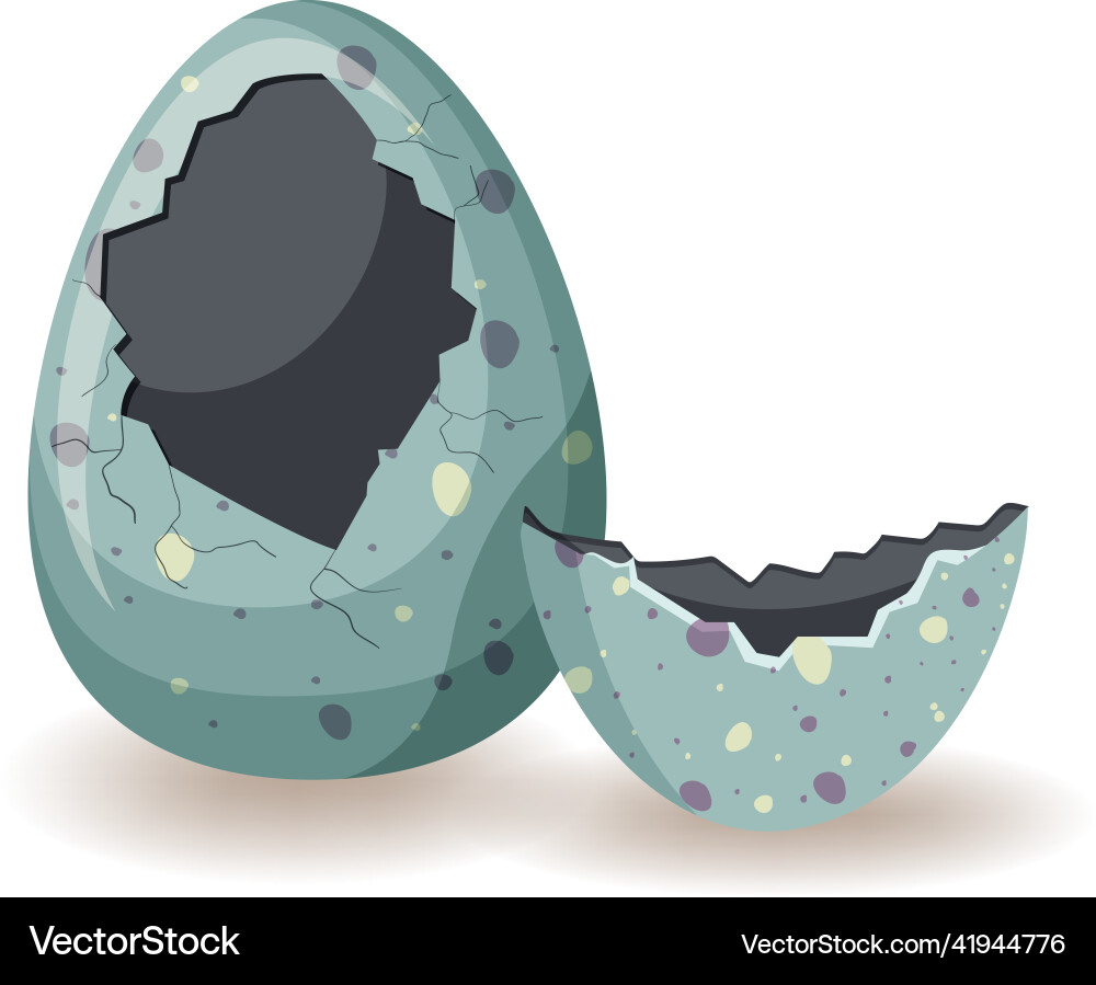 Egg shell cracking on white background Royalty Free Vector