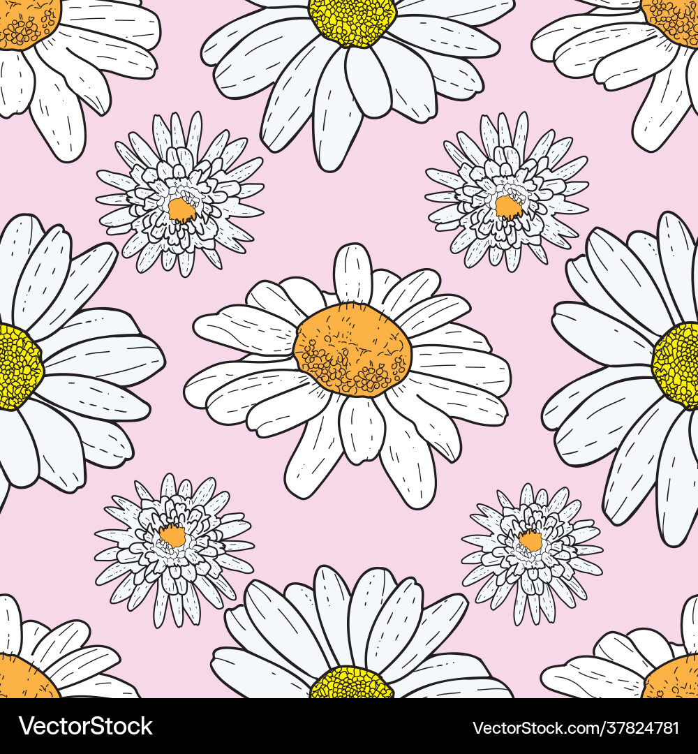 Pink background daisy flowers and wild Royalty Free Vector