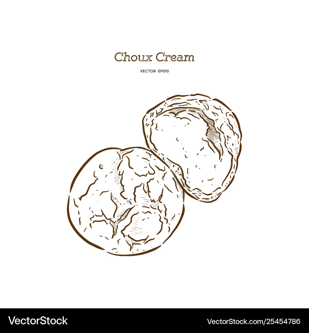 Delicious cream puff cakes with hand draw Vector Image