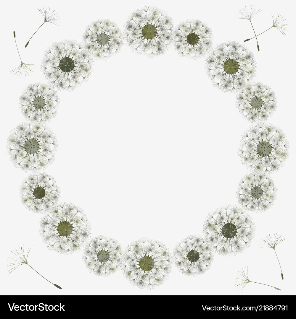 Abstract background of a dandelion for design Vector Image