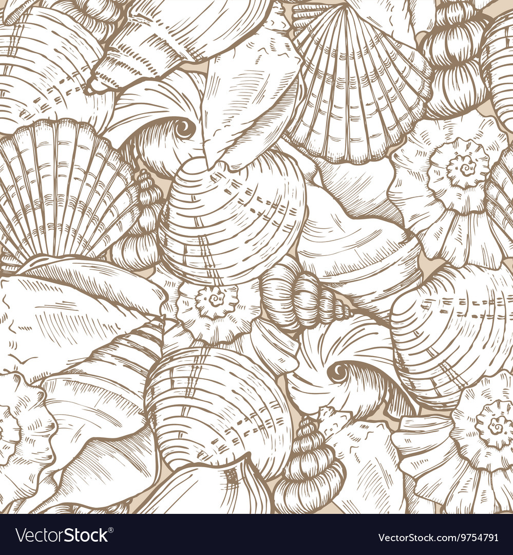 Sea shell Royalty Free Vector Image - VectorStock