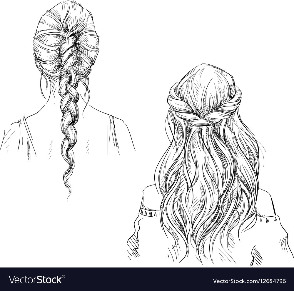 Braids Royalty Free Vector Image - VectorStock