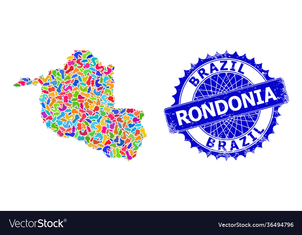 Splash collage rondonia state map and distress Vector Image
