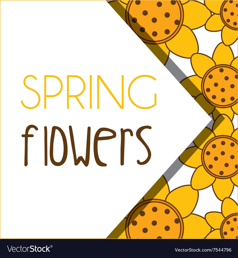 Spring flowers design Royalty Free Vector Image