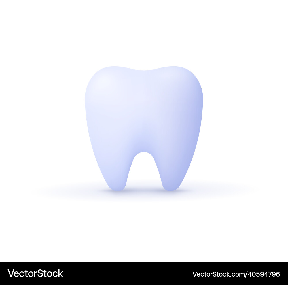 Whitening tooth dental model examination Vector Image