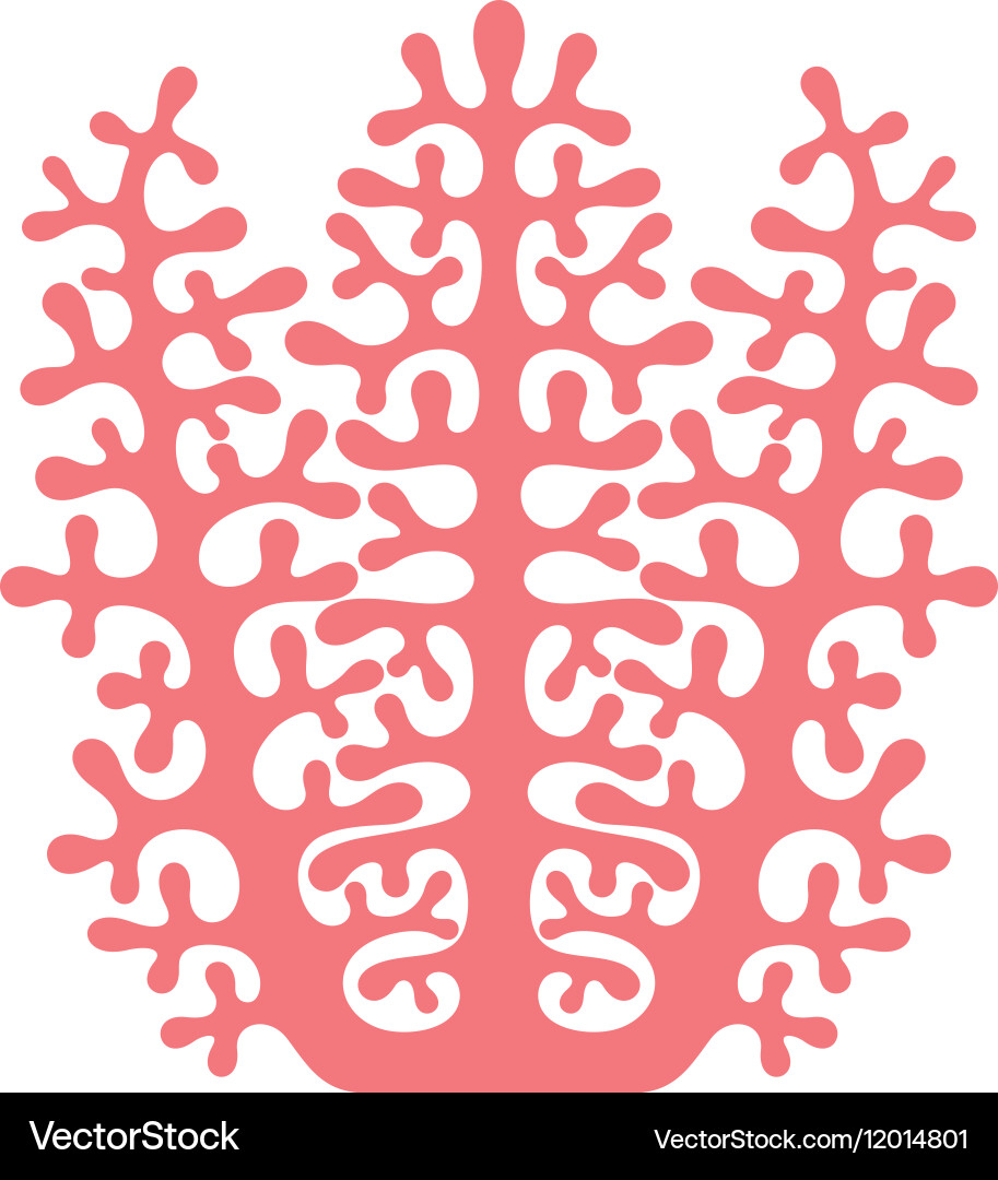 Coral Royalty Free Vector Image - VectorStock