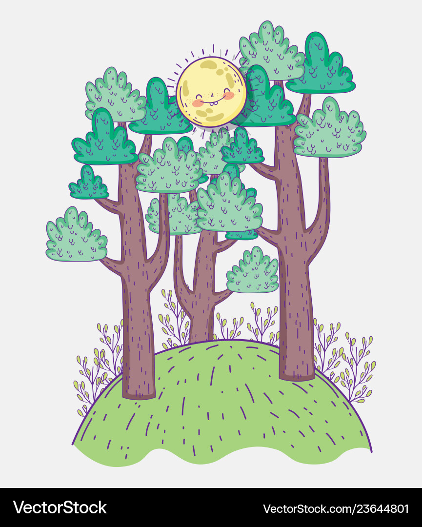 Forest adventure with nature trees and sun Vector Image