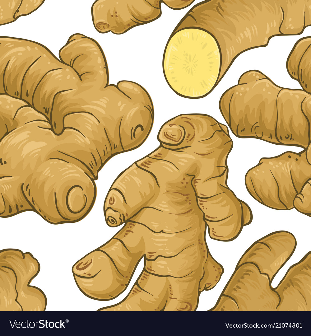 Ginger pattern Royalty Free Vector Image - VectorStock