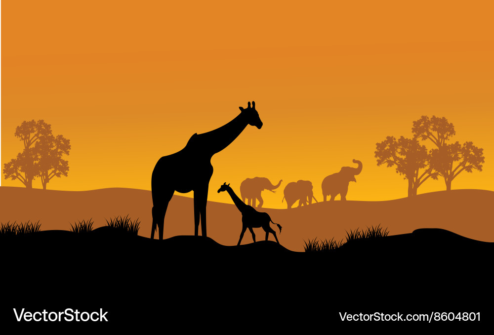 African Animal Silhouette Clip Art 12 Best Africa Silhouette Ideas