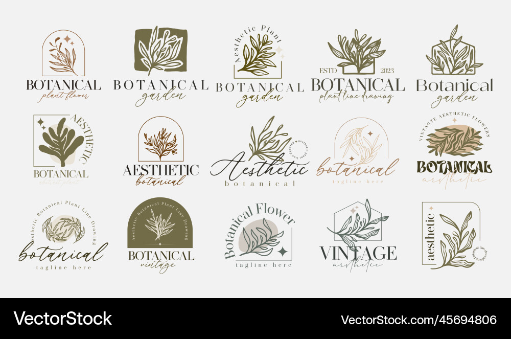 Abstract plant flower line drawing logo template Vector Image