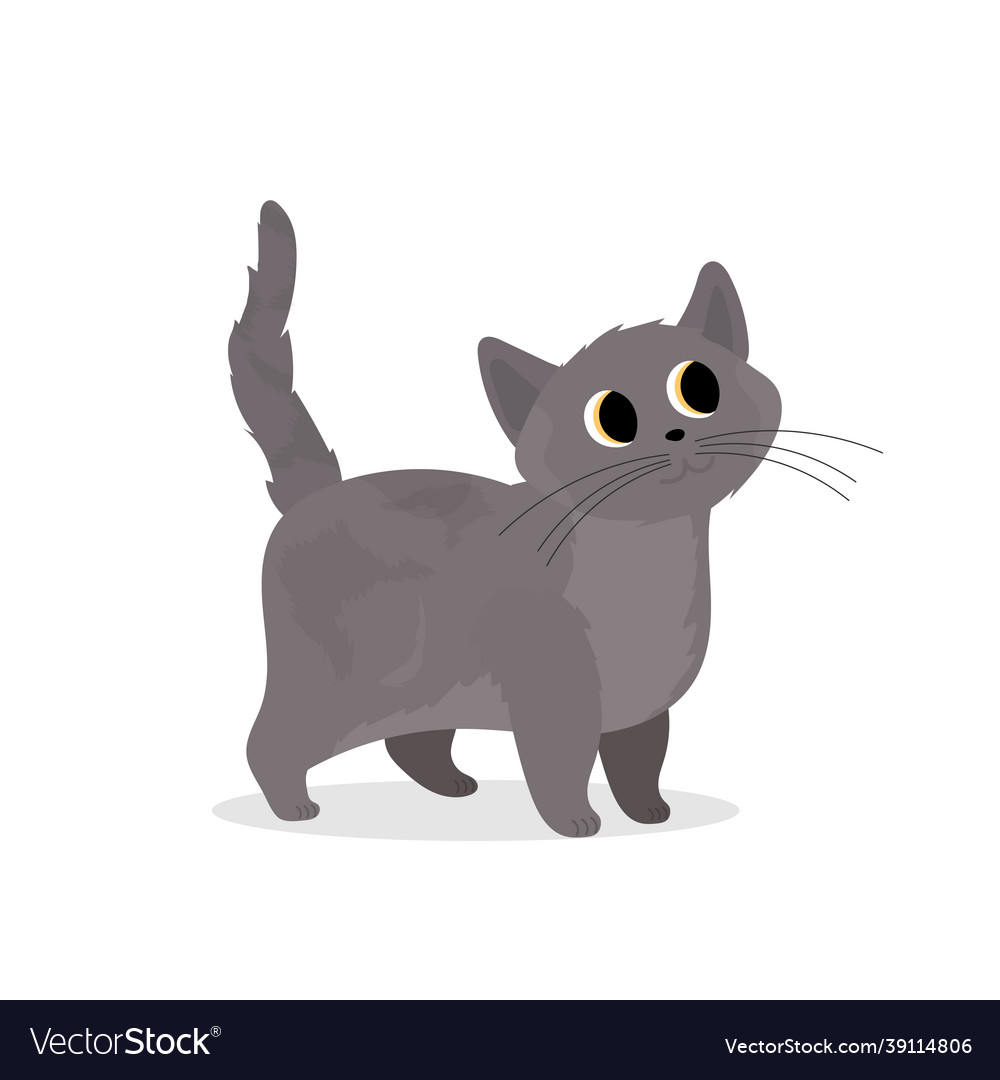 Cute gray cat suitable for stickers and postcards Vector Image