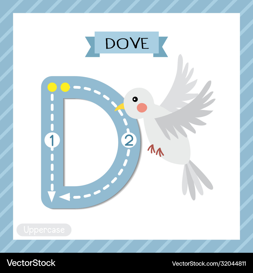 Letter d uppercase tracing flying dove bird Vector Image