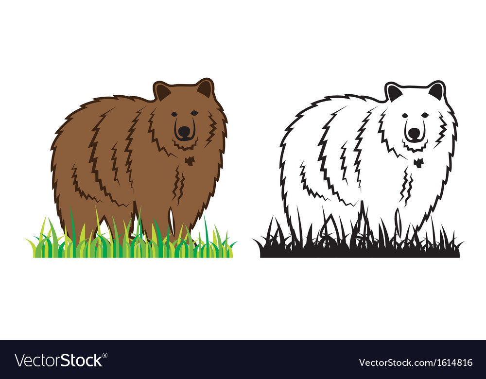 Bear Royalty Free Vector Image - VectorStock