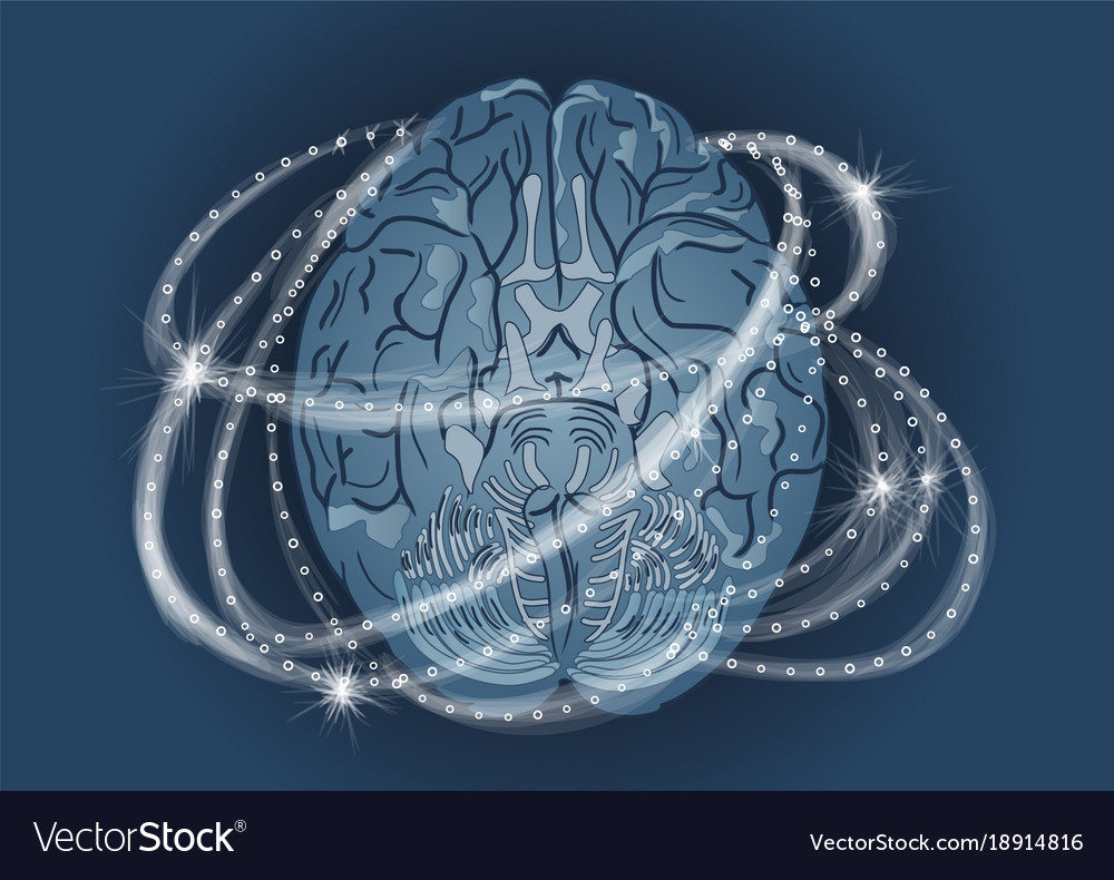 Human brain activity Royalty Free Vector Image