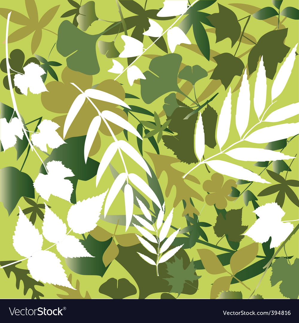 Leaf background Royalty Free Vector Image - VectorStock