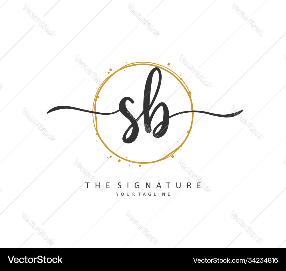 S b sb initial letter handwriting and signature Vector Image