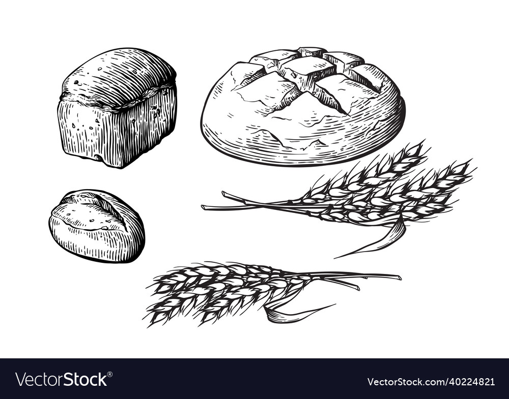 Bread hand drawn set other Royalty Free Vector Image