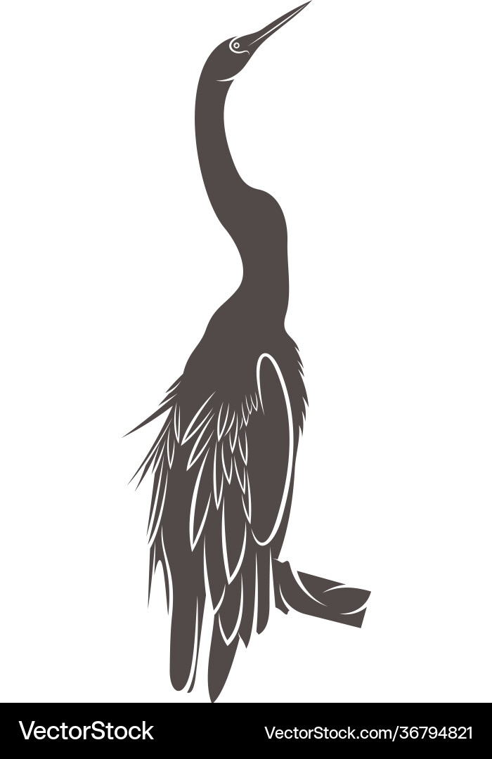 Snake bird design creative logo Royalty Free Vector Image