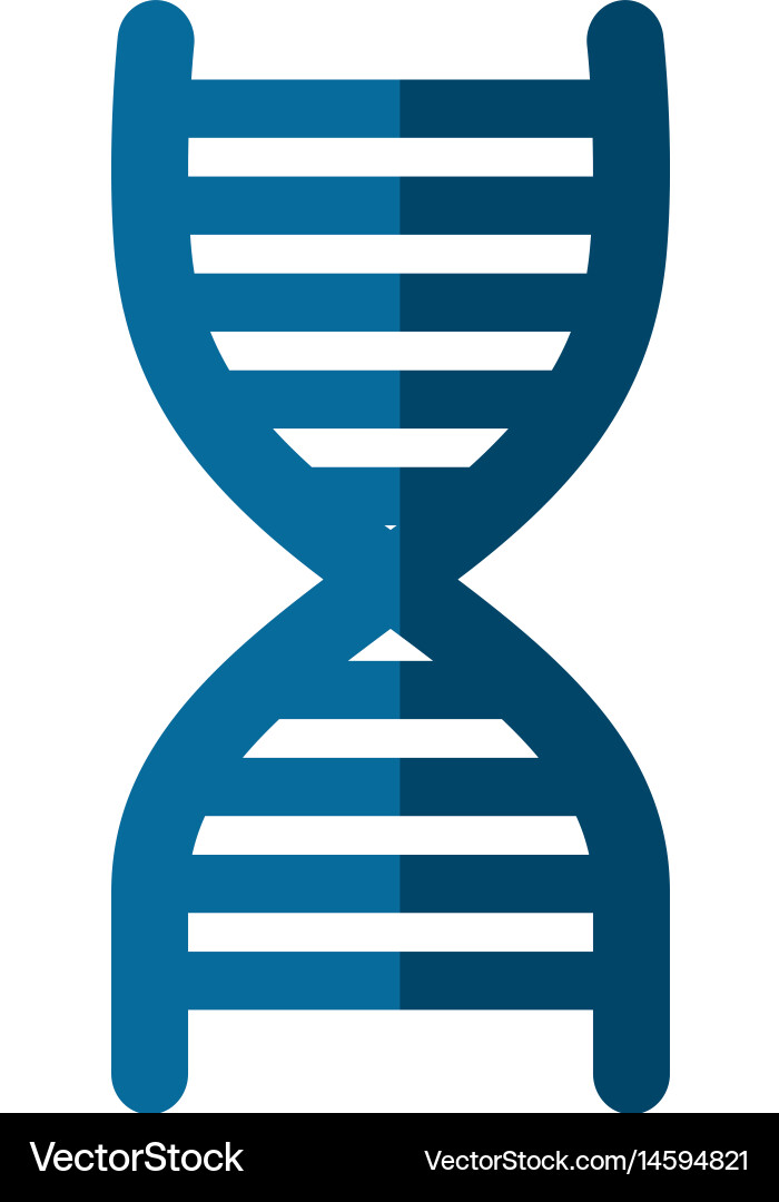 Symbol of dna icon Royalty Free Vector Image - VectorStock