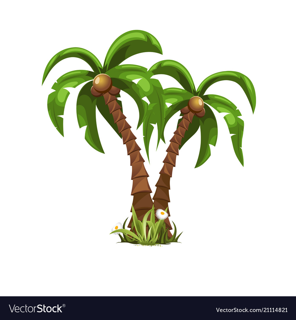 Two beautiful palm trees Royalty Free Vector Image