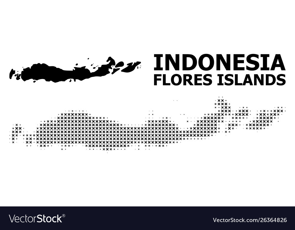 Halftone pattern and solid map indonesia Vector Image