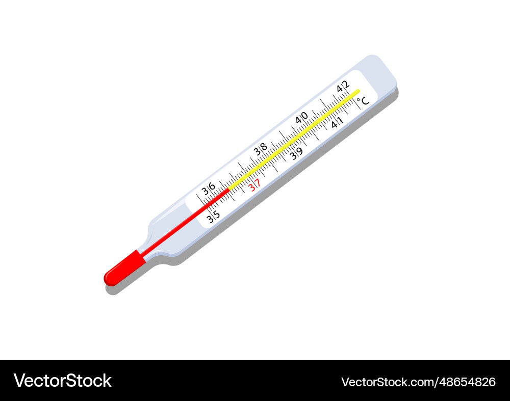 Medical thermometer cartoon flat design isolated Vector Image