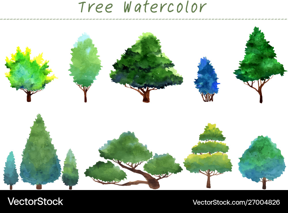 Trees watercolor hand painting collection Vector Image