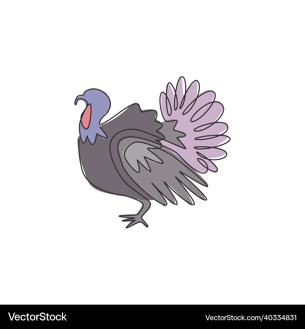 One continuous line drawing of large turkey Vector Image
