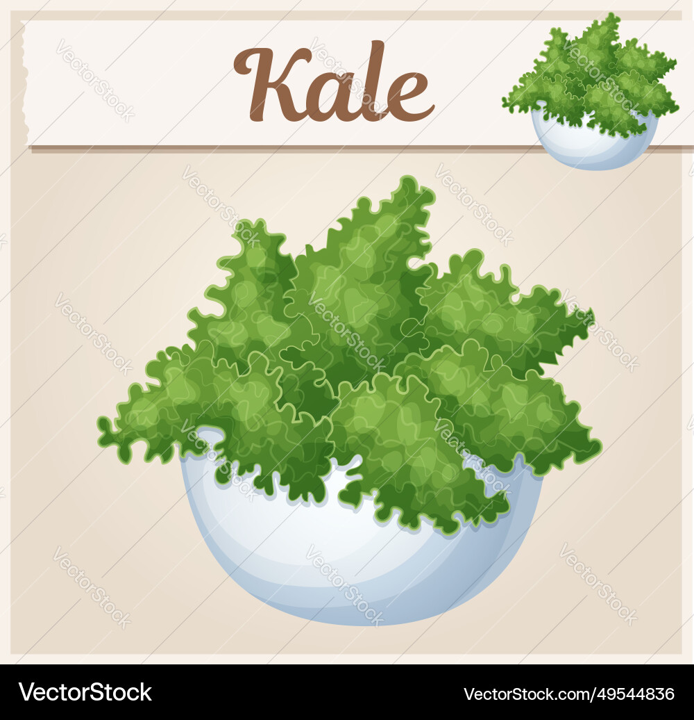 Fresh kale in bowl cartoon Royalty Free Vector Image