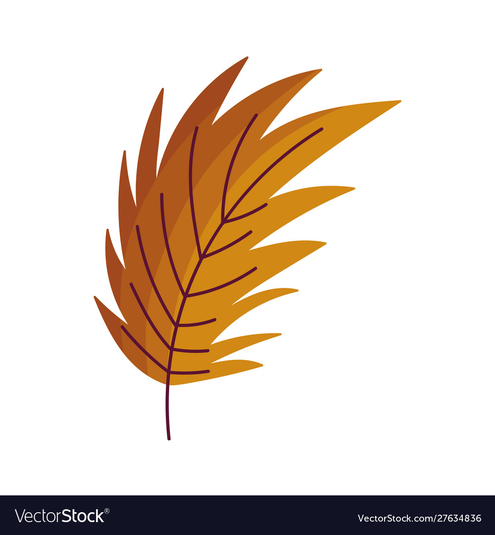 Natural leaf foliage autumn on white background Vector Image