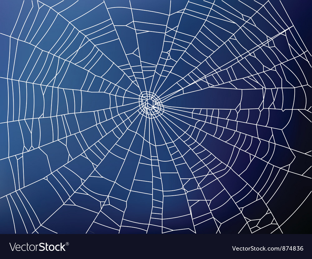 Spider web2 resize Royalty Free Vector Image - VectorStock