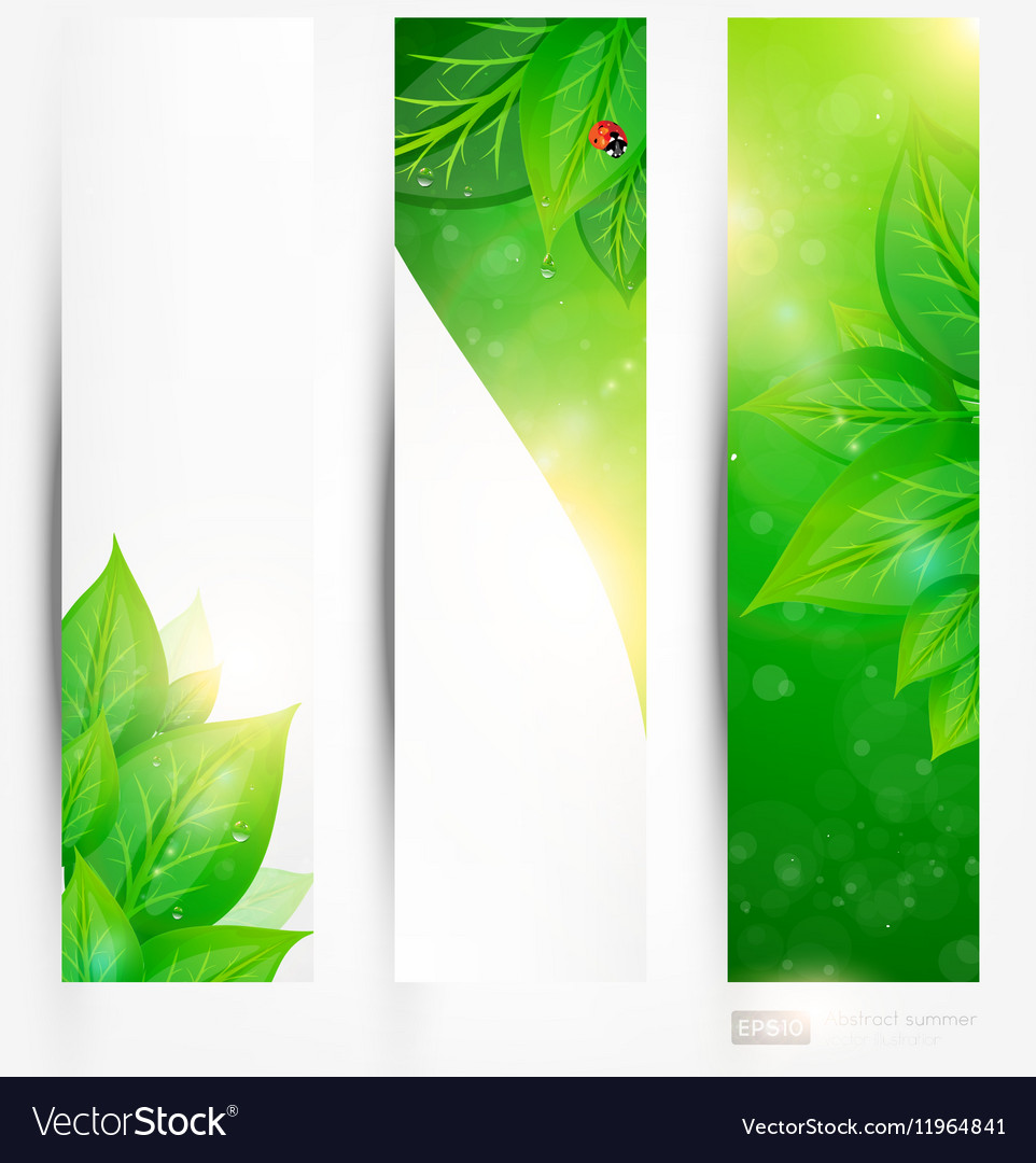 Abstract leaf design set Royalty Free Vector Image
