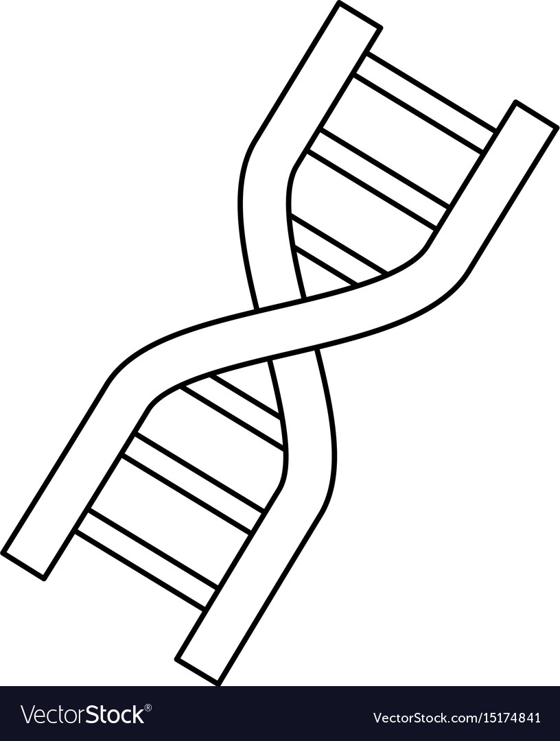 Genetic code Royalty Free Vector Image - VectorStock