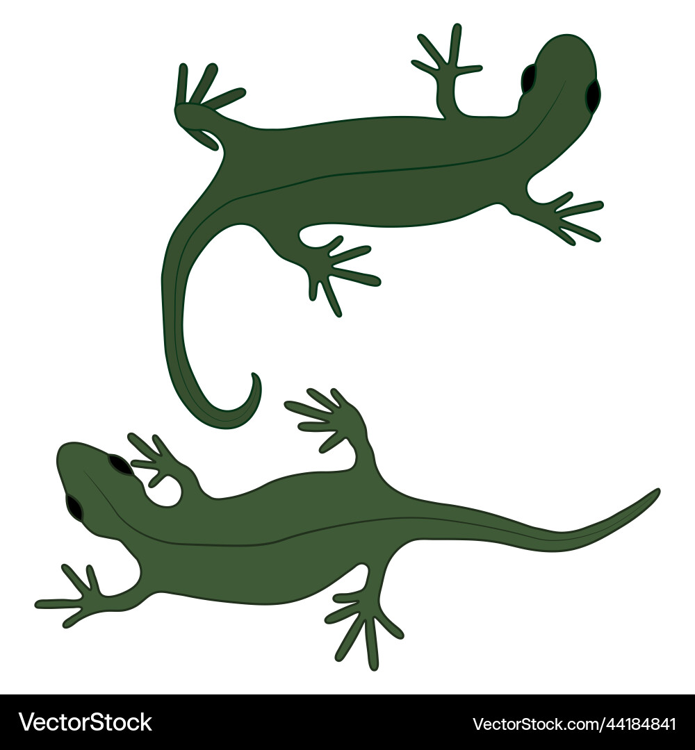 Set of lizards reptile gecko Royalty Free Vector Image