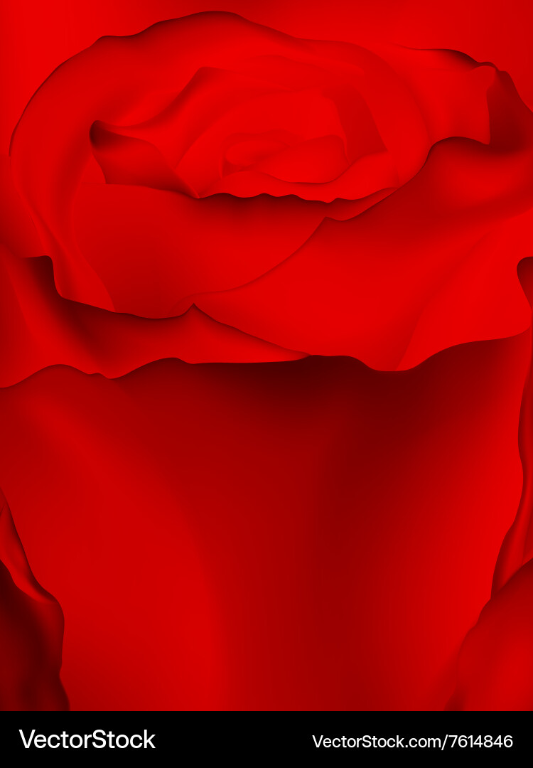 Macro image of dark red rose eps 10 Royalty Free Vector