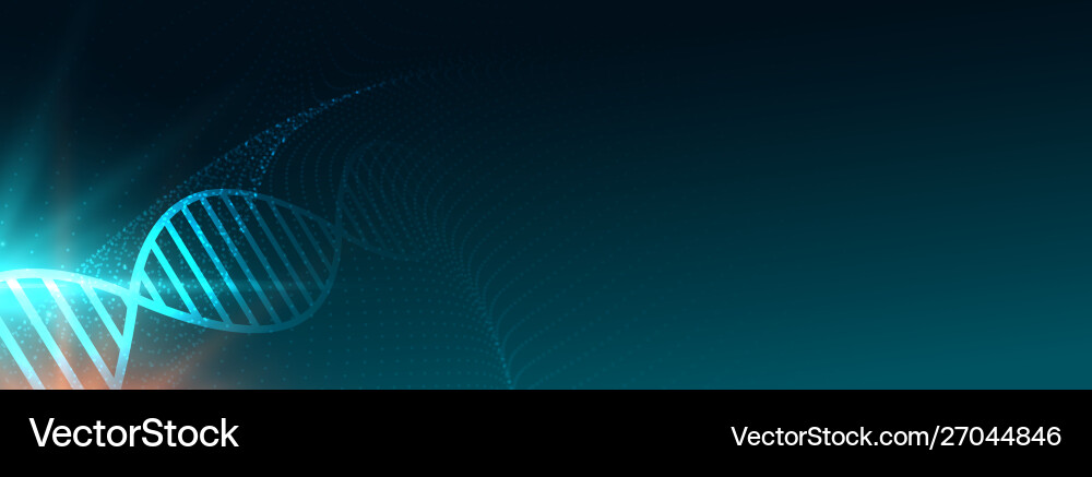 Wide dna structure banner for medical science Vector Image
