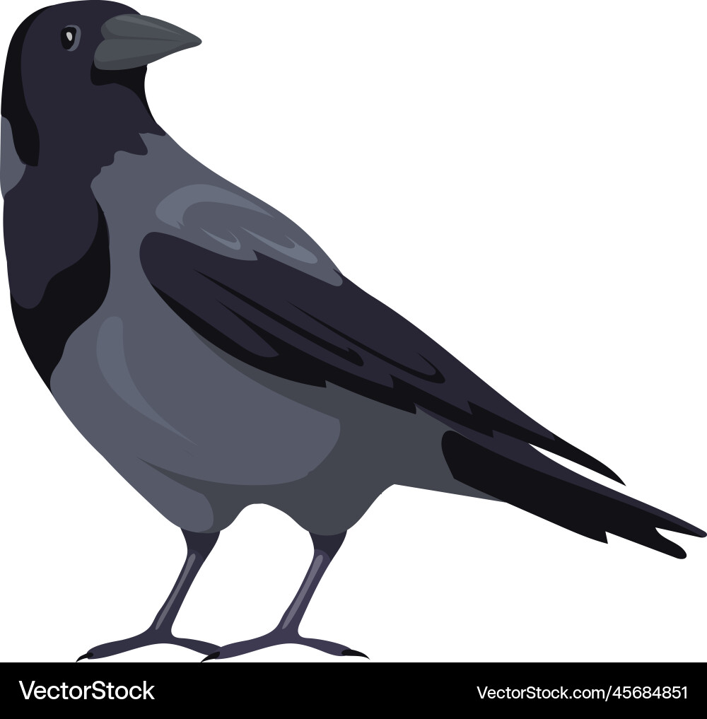 Black crow icon raven icon wild bird Royalty Free Vector