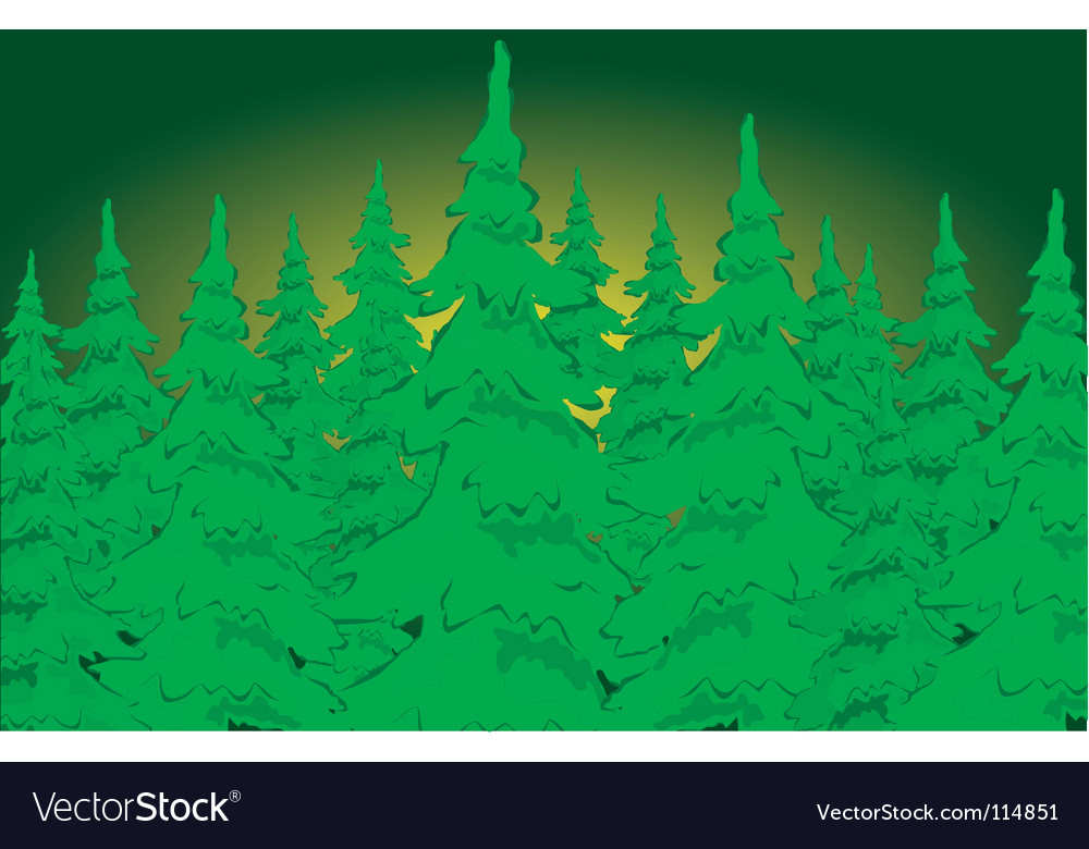 Forest Royalty Free Vector Image - VectorStock
