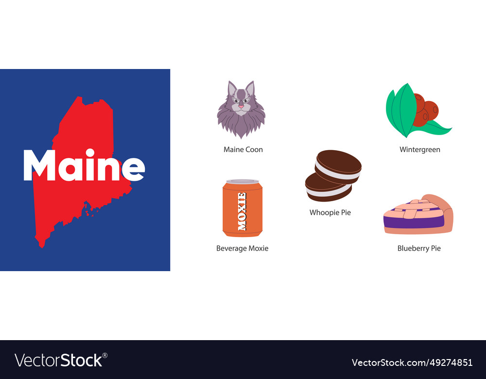 Maine states with symbol icon of coon blueberry Vector Image