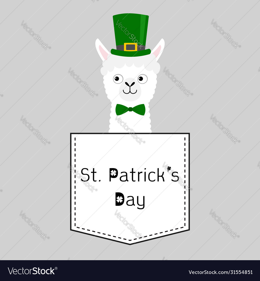 St patrick day llama alpaca face head Royalty Free Vector