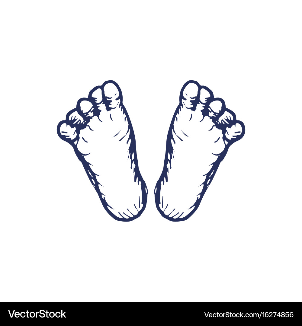 Hand drawn baby foot over white Royalty Free Vector Image