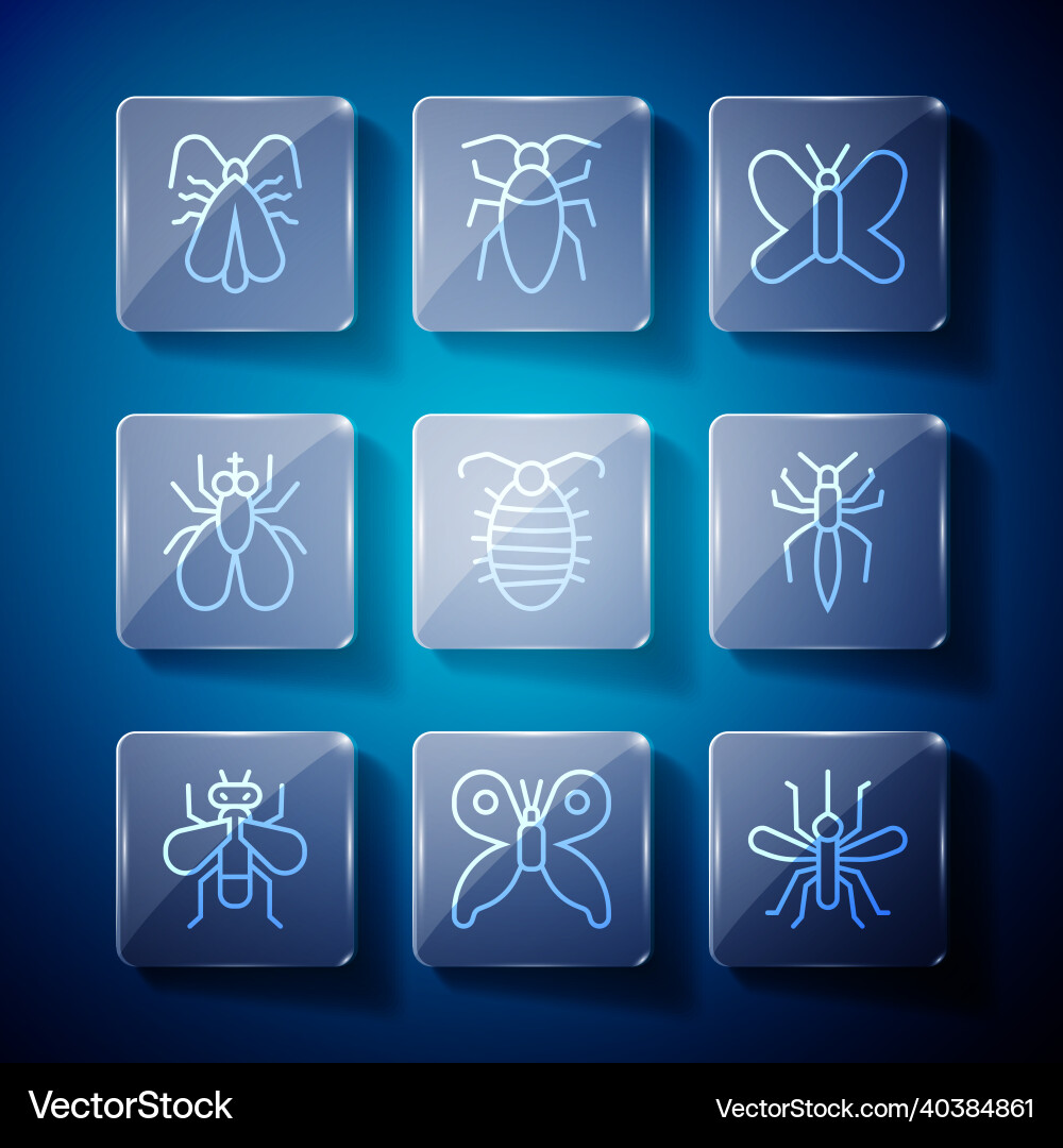 Set line insect fly butterfly mosquito larva Vector Image