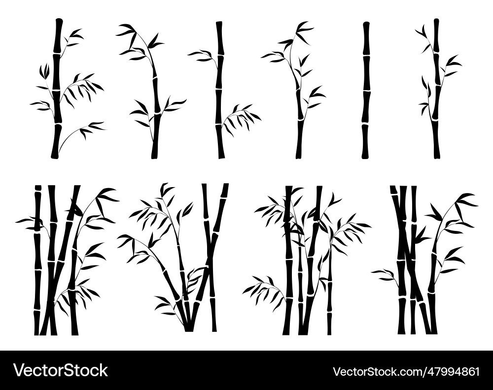 Set of bamboo silhouettes Royalty Free Vector Image