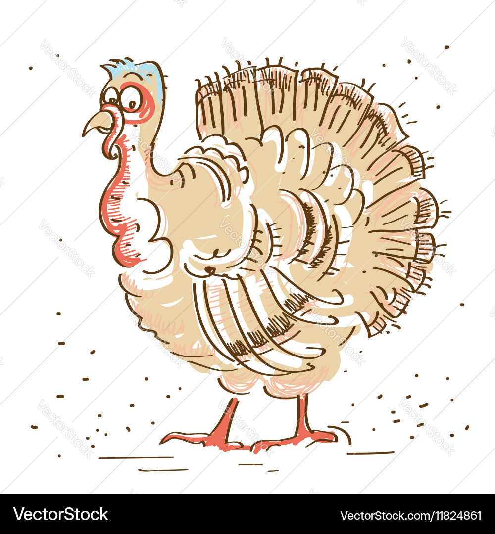 Thanksgiving turkey isolated on white Royalty Free Vector