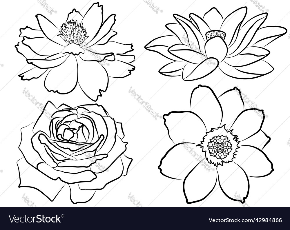 Coloring silhouette flowers Royalty Free Vector Image