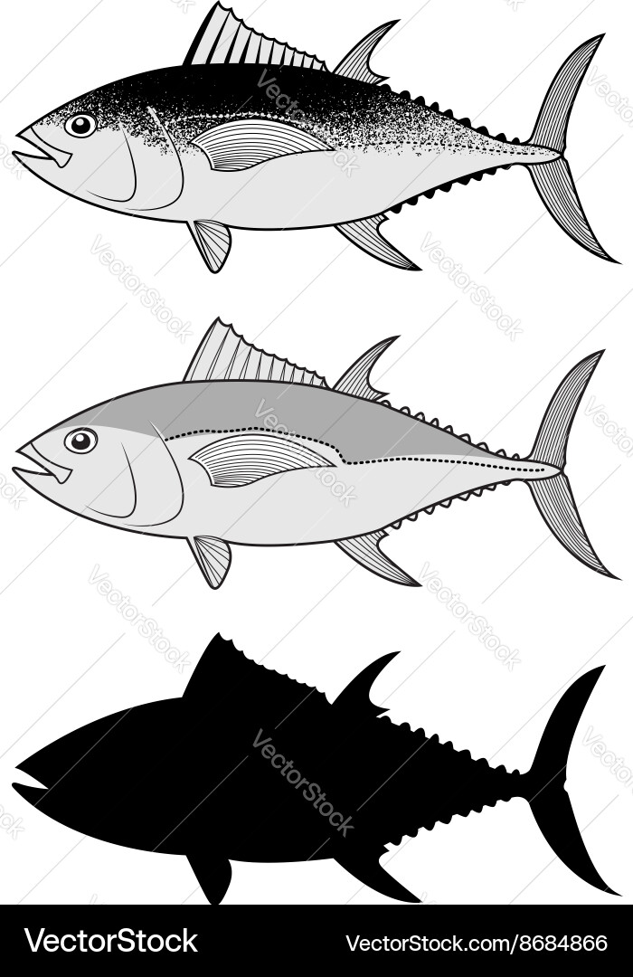 Set of the tuna Royalty Free Vector Image - VectorStock